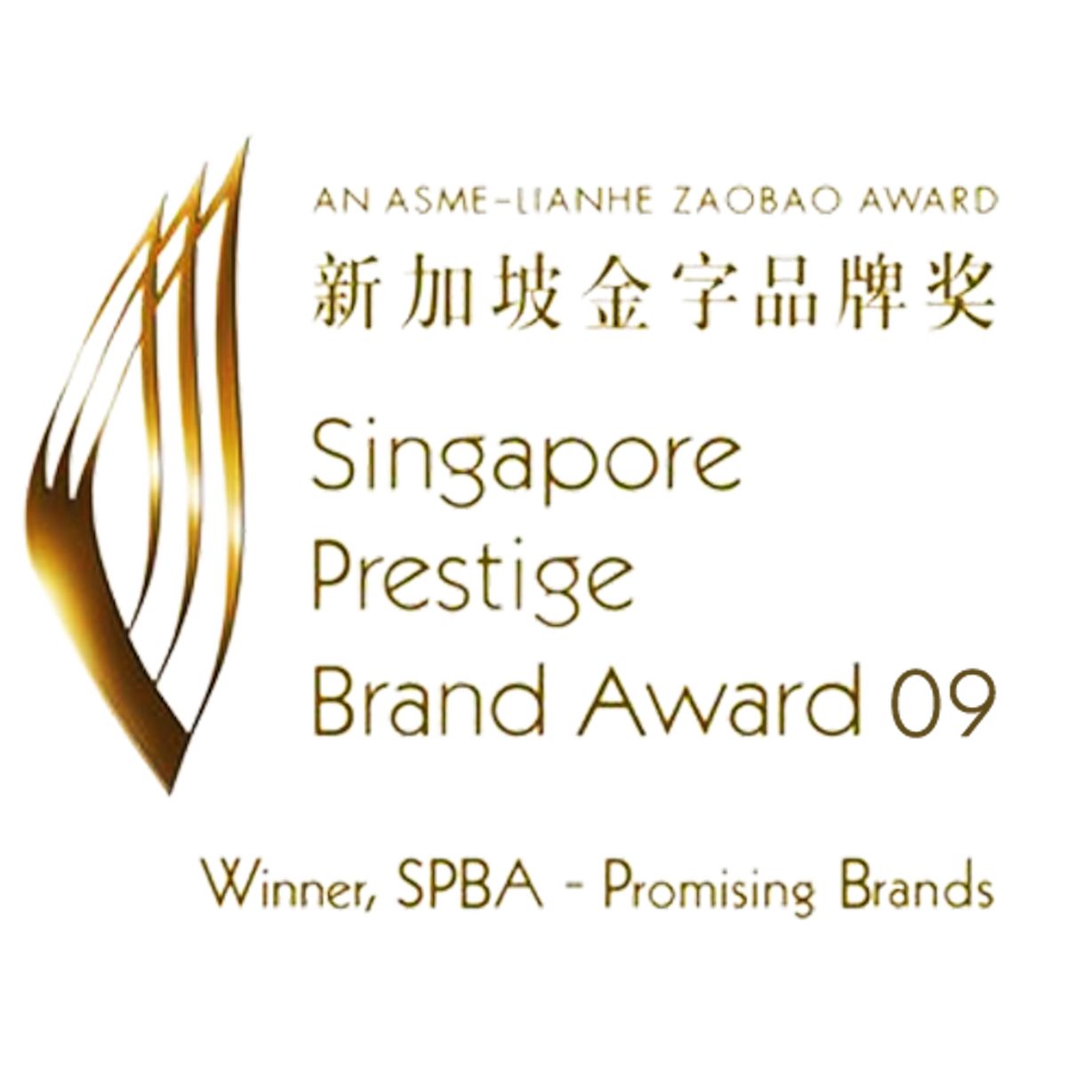 Realstar Premier Group: A dominant force driving Singapore’s most ...