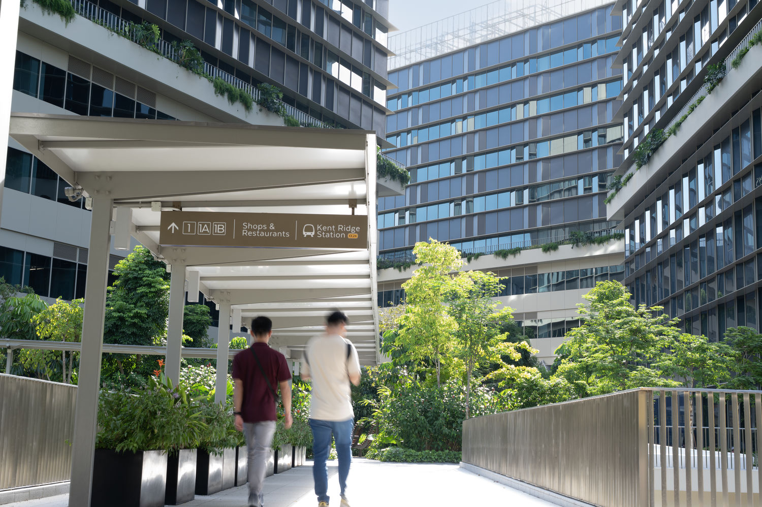 CapitaLand Development’s LyndenWoods transforms Singapore Science Park ...